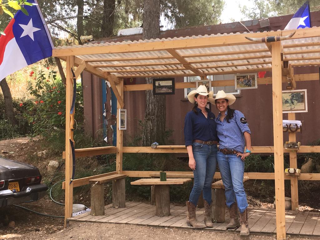 Horseback Riding, Kind David Stables - Noah Tours Israel Travel Blog