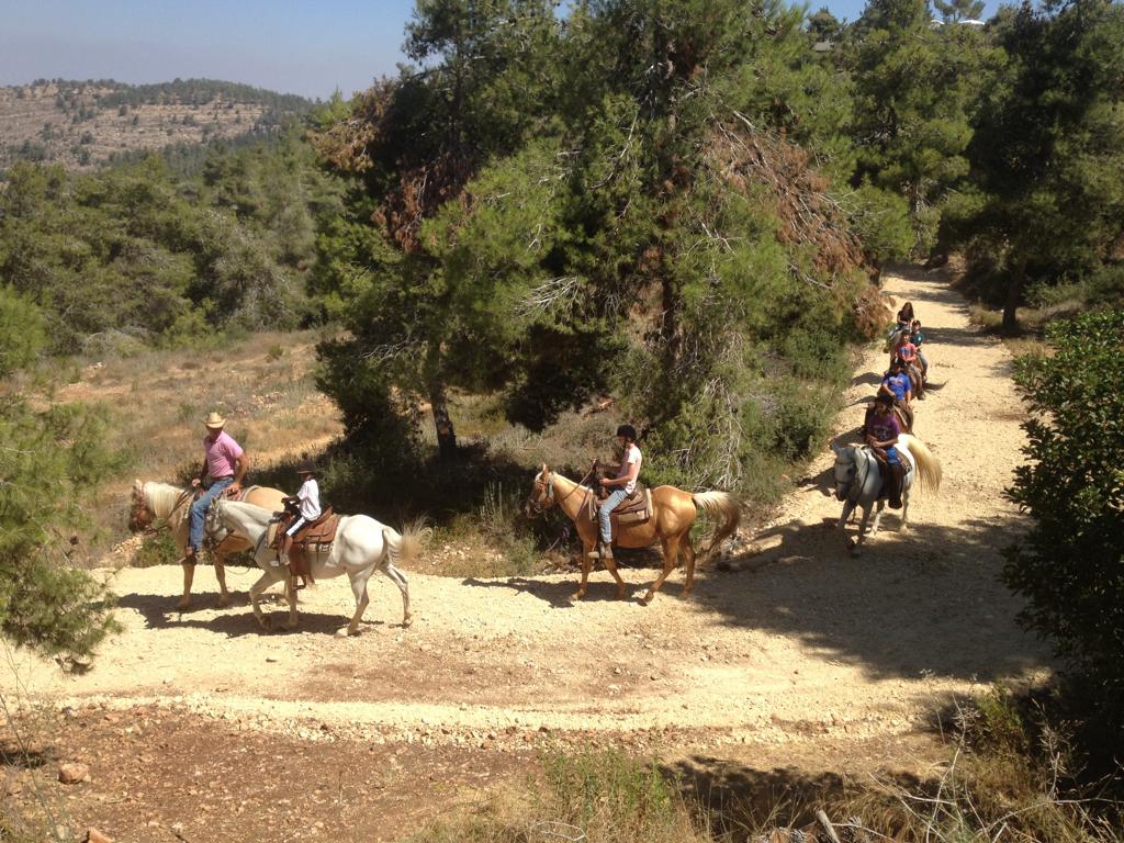 Horseback Riding, Kind David Stables - Noah Tours Israel Travel Blog