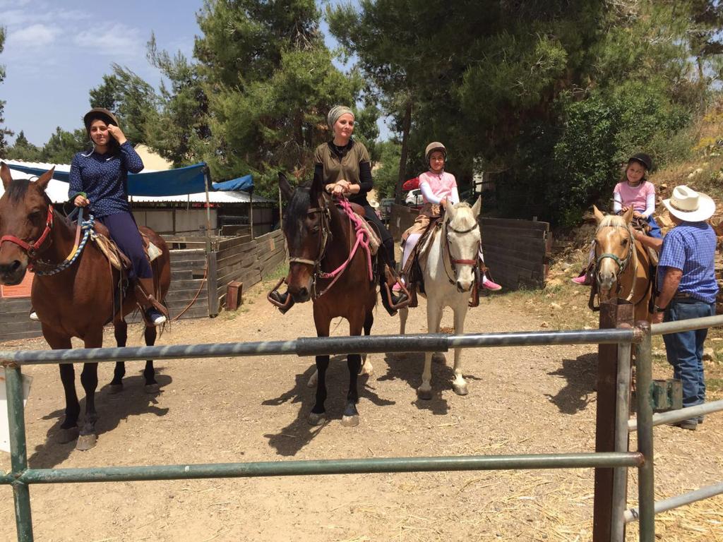 Horseback Riding, Kind David Stables - Noah Tours Israel Travel Blog