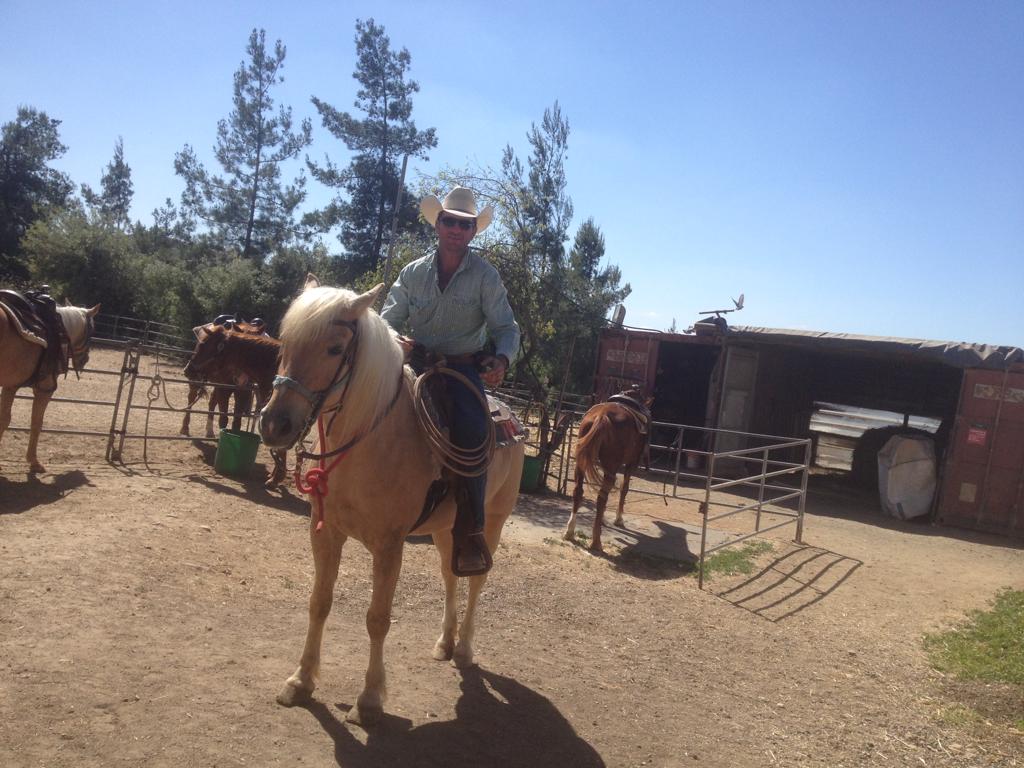 Horseback Riding, Kind David Stables - Noah Tours Israel Travel Blog