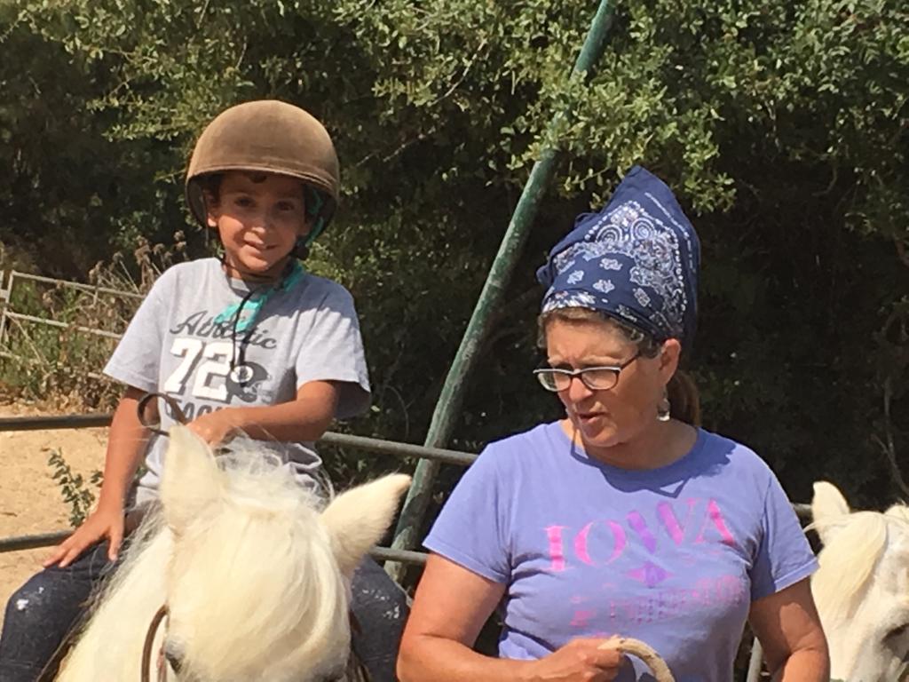 Horseback Riding, Kind David Stables - Noah Tours Israel Travel Blog